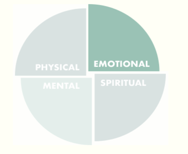 Lesson 9: Emotional | BFO-Toronto